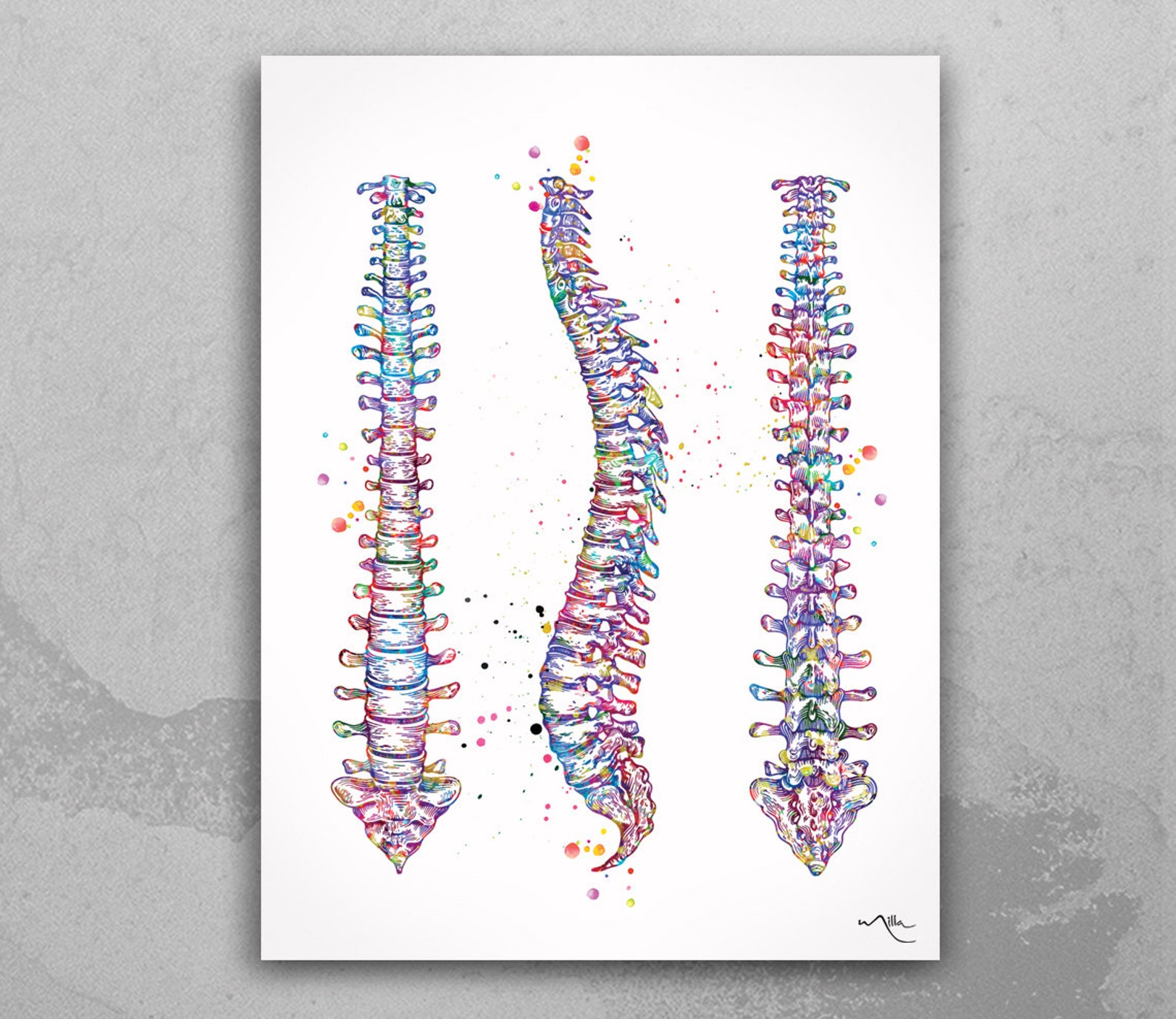 Spine Watercolor Print Human Spine Anatomy Art Medical Art - Etsy