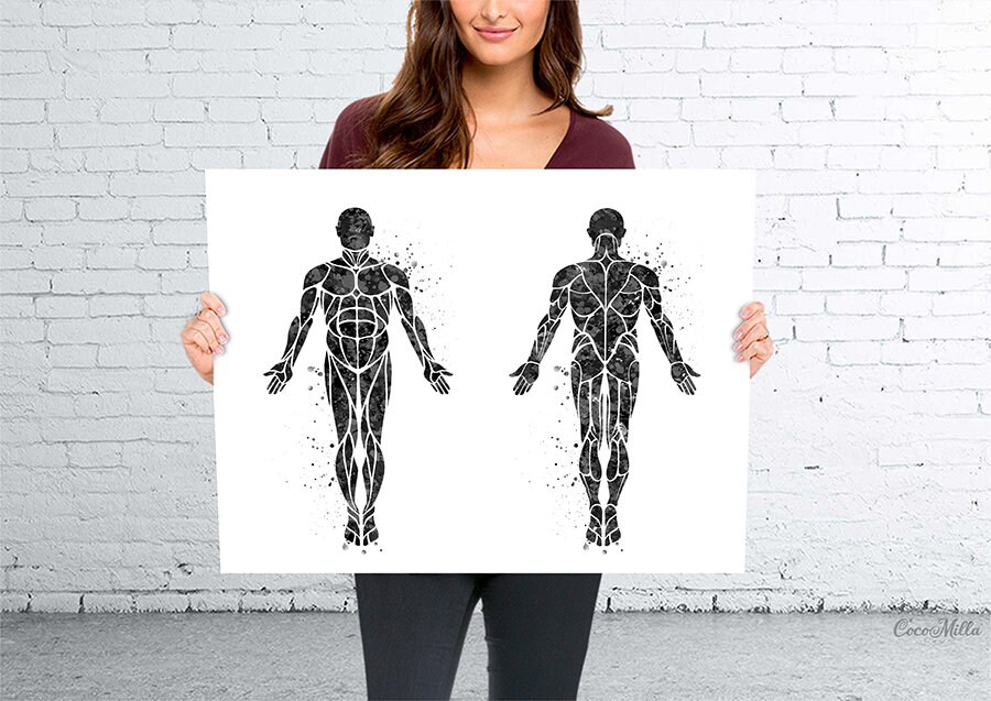 Muscular System Watercolor Print Human Body Anatomy Art | Etsy España