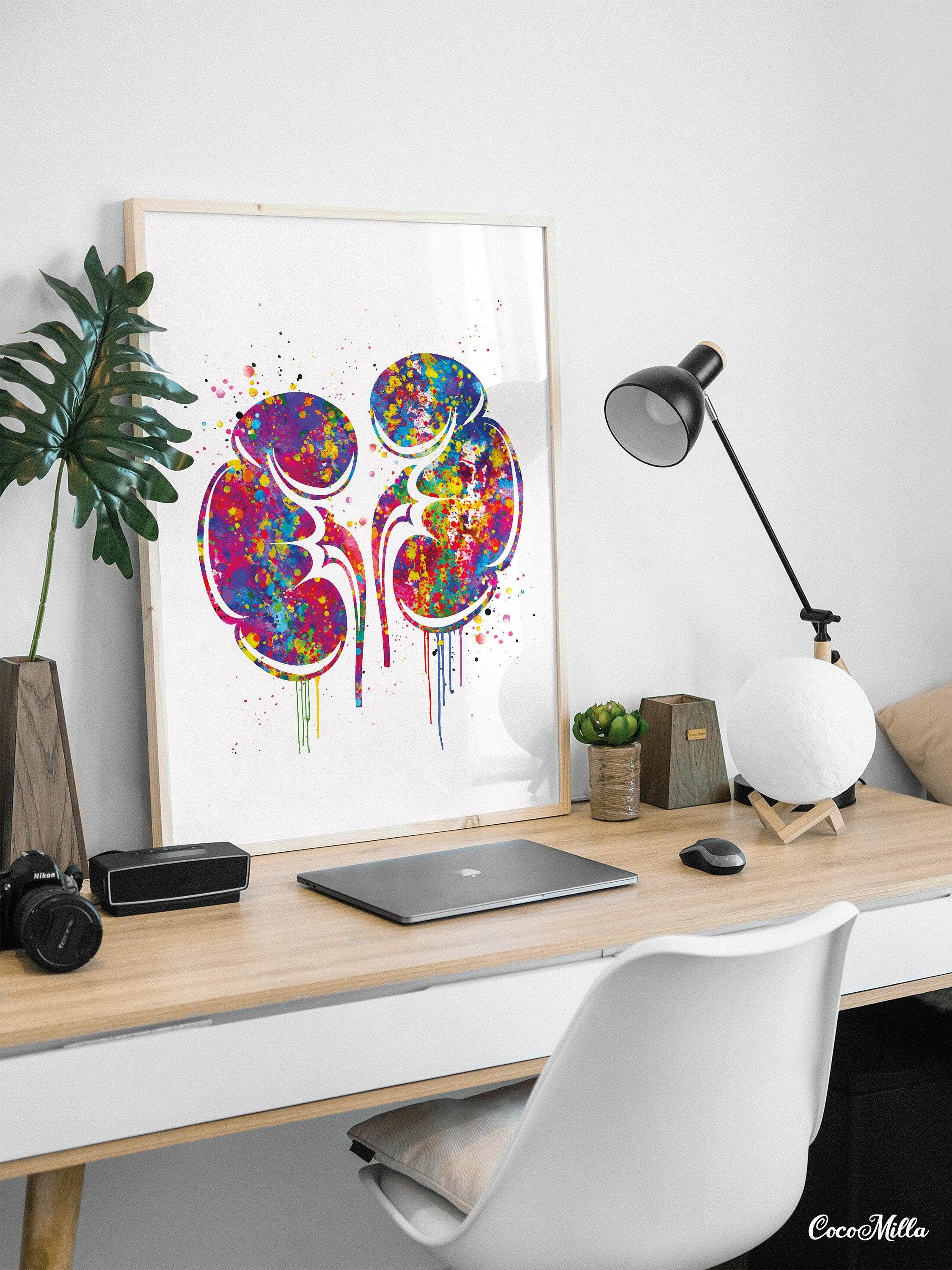 Kidneys Anatomy Watercolor Print, Nephrology Clinic Art-1151 - Etsy