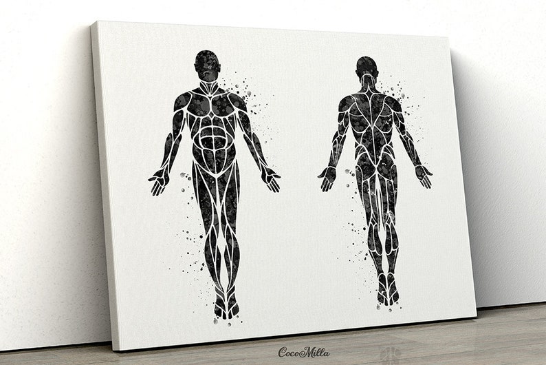 Muscular System Watercolor Print Human Body Anatomy Art Medical Art ...