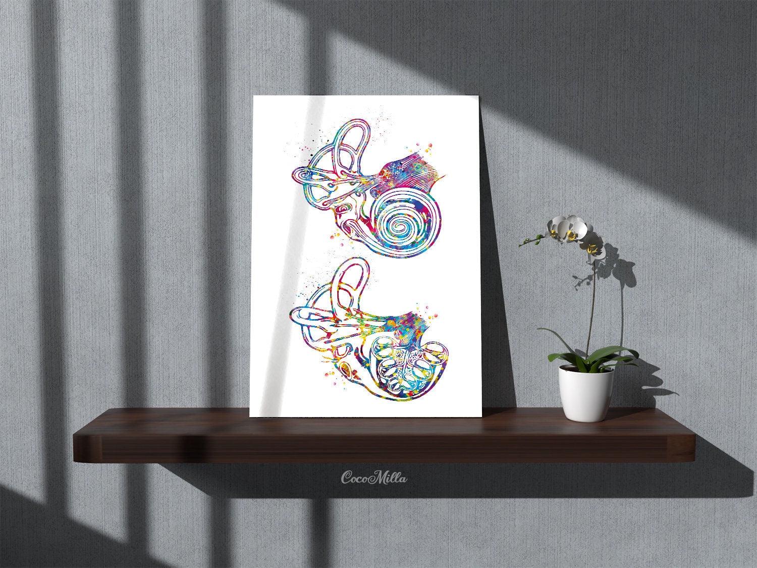 Inner Ear Anatomy Watercolor Print, Audiology Clinic Decor-1085 - Etsy