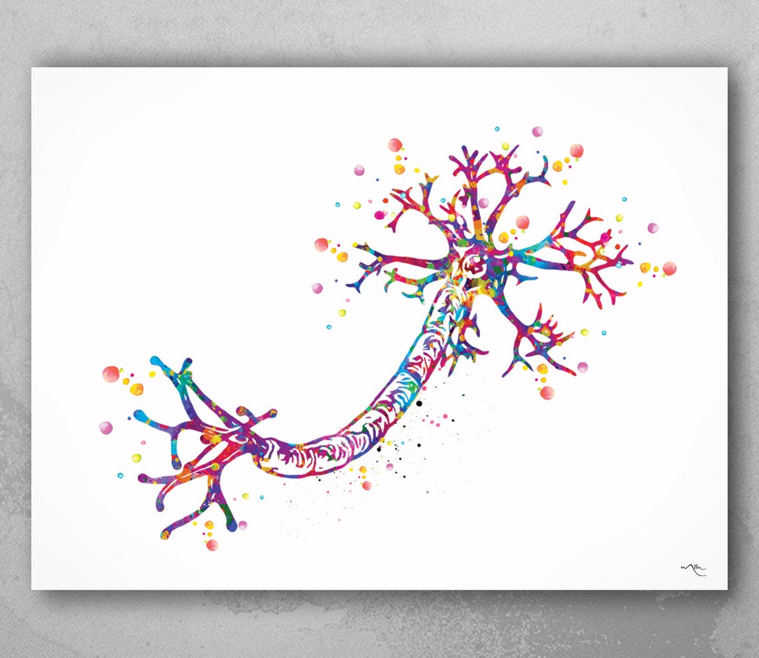 Nerve Cell Watercolor Print Science Poster Neurology Art Nerve Cell ...