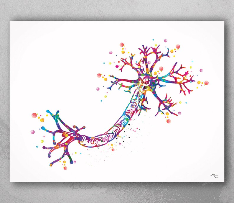 Nerve Cell Watercolor Print Science Poster Neurology Art Nerve - Etsy
