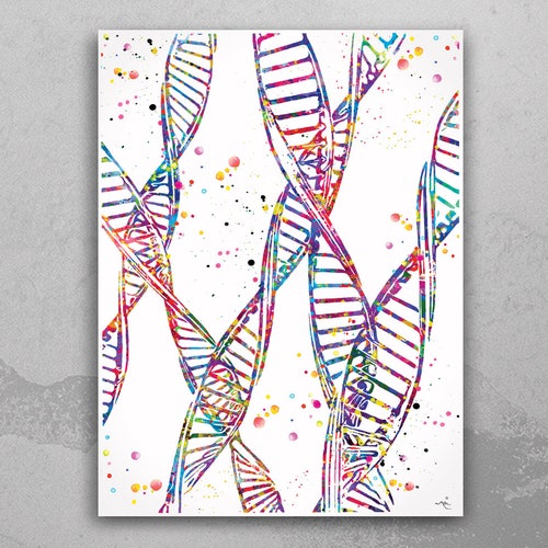 Brain Heart DNA Watercolor Print Science Wall Art Medical Art | Etsy