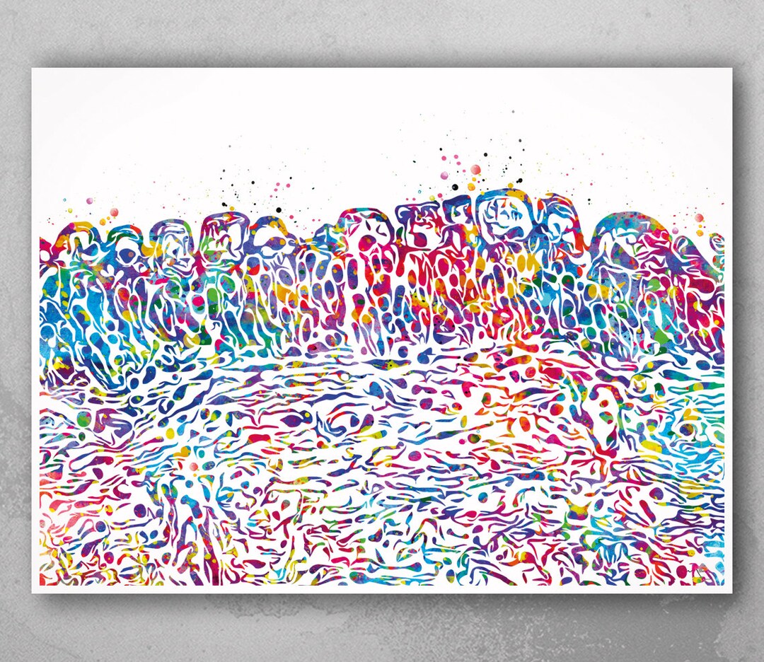 Bladder Histology Watercolor Print Human Anatomy Male Reproductive ...