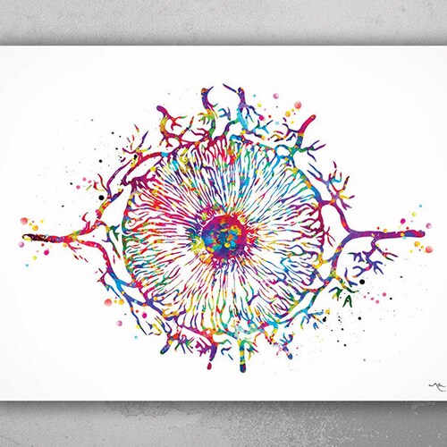 Iris Art Eye Biology Poster Science Art Print Ophthalmology - Etsy