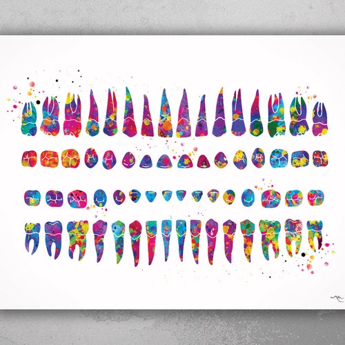 Watercolor Dental Art Dentist Gift Floral Tooth Drawing Teeth - Etsy