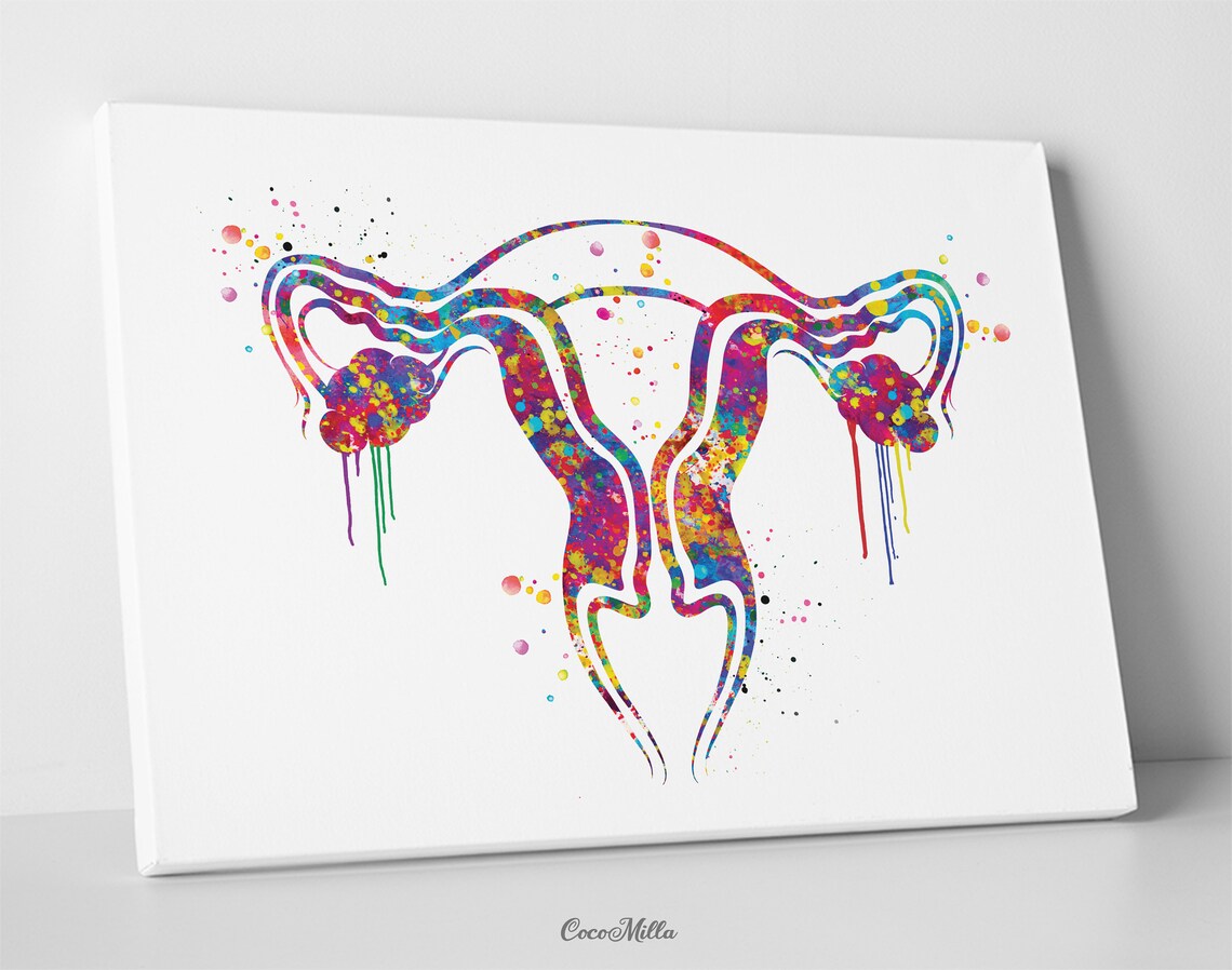 Uterus Watercolor Print Human Organs Gynecology Anatomical | Etsy