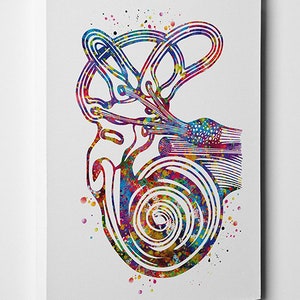 Semicircular Canals Ear Watercolor Print Audiologist Gift Audiology Ear ...