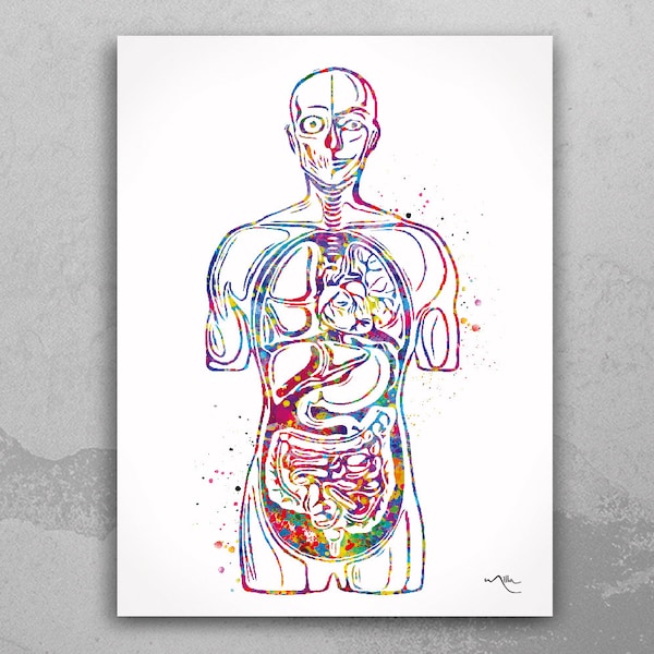 Internal Organ - Etsy