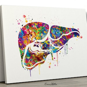 Liver Anatomy Watercolor Print Human Organs Gastroenterology Clinic ...