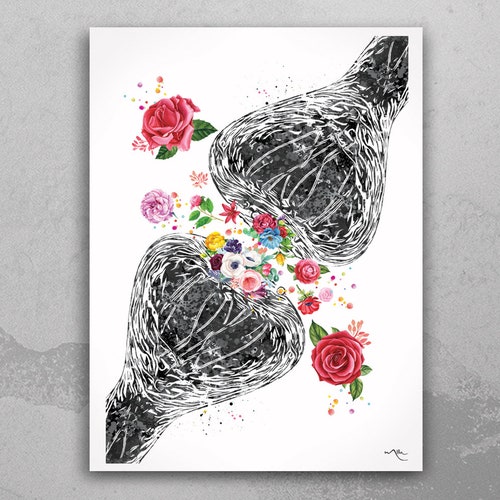 Synapse Receptor Watercolor Print Science Poster Neurology Art - Etsy