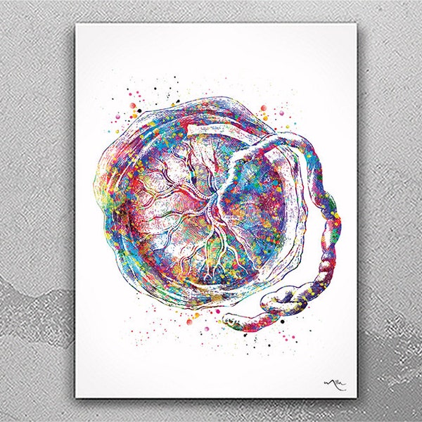 Placenta Print - Etsy