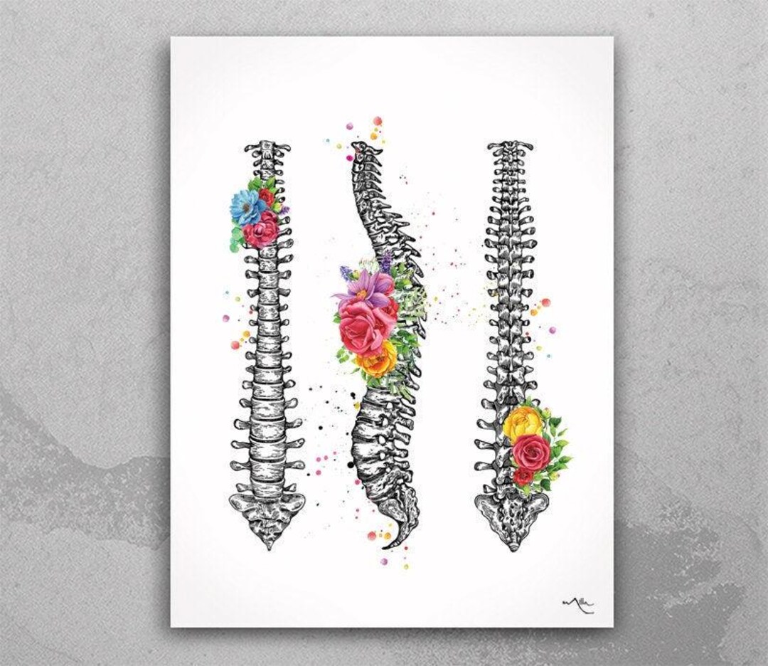 Floral Spine Watercolor Print, Anatomy Art-1358 - Etsy