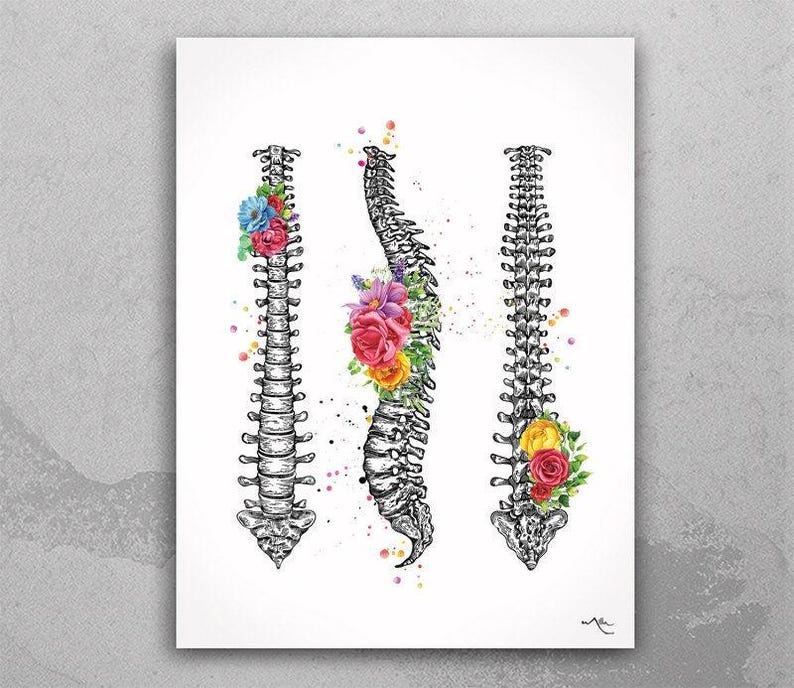Floral Spine Watercolor Print, Anatomy Art-1358 - Etsy