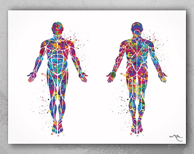 Body Systems 3-piece Watercolor Print Set - Anatomy Art Set - Muscular ...