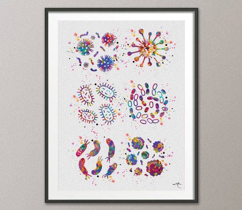 Bacteria Watercolor Print Medical Art Wall Art Bioscience | Etsy