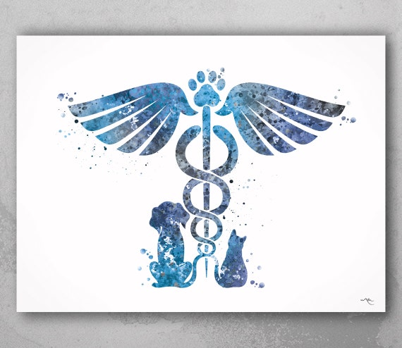 Veterinary Caduceus Watercolor Print Blue Clinic Wall Art Cat | Etsy