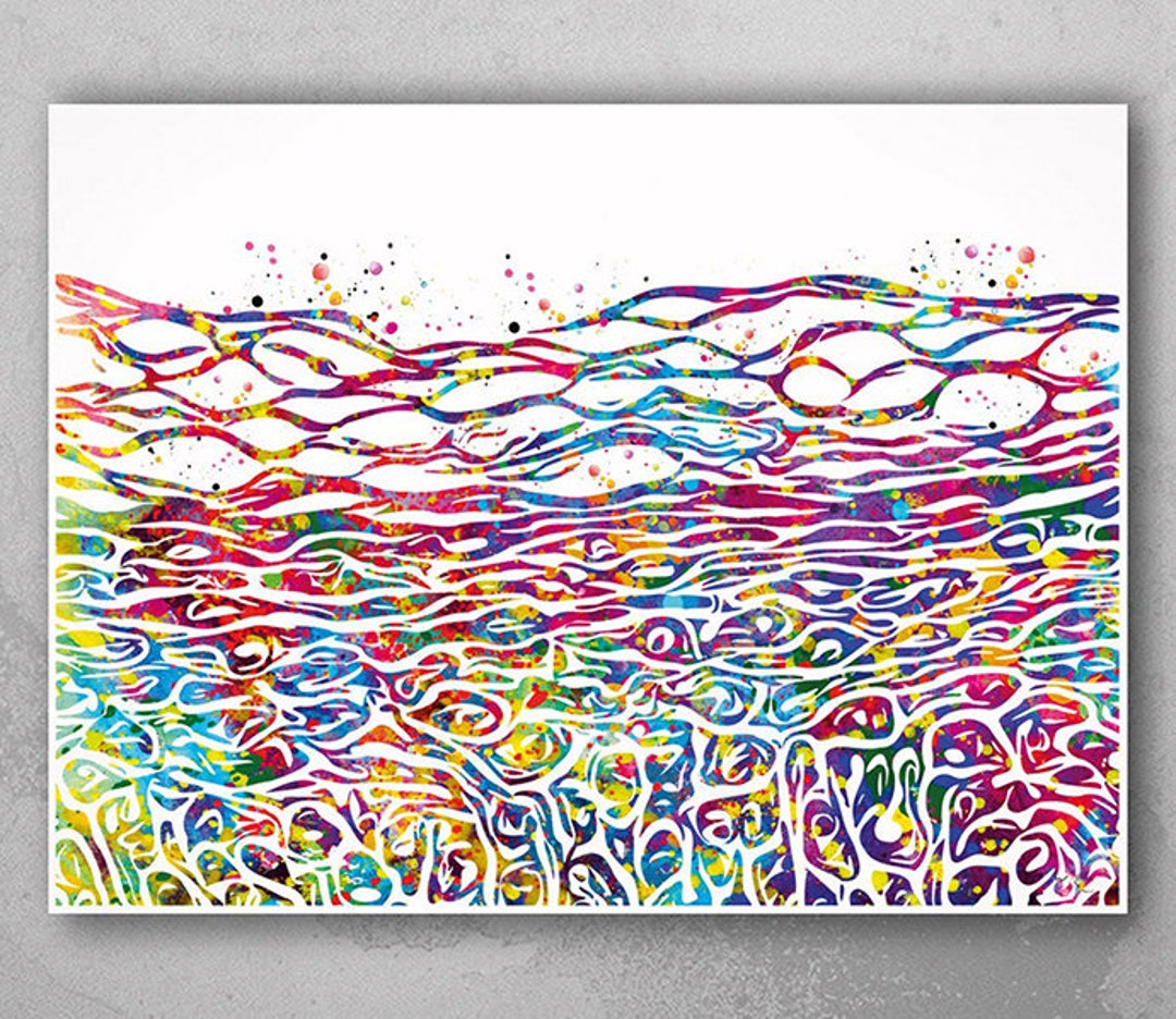 Skin Histology Watercolor Print Science Art Skin Histology Dermatology ...