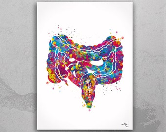 Large Intestine Art - Etsy