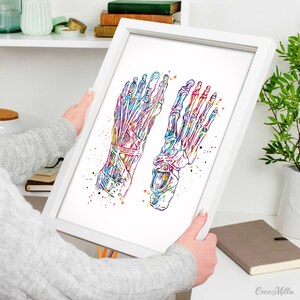 Foot Anatomy Watercolor Print Skeletal Feet Muscles Medical | Etsy