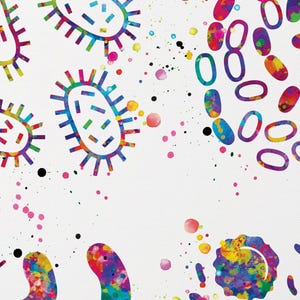 Bacteria Watercolor Print Medical Art Wall Art Bioscience Microbiology ...