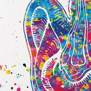 Ear Anatomy Watercolor Print Audiologist Gift Audiology Poster Science ...