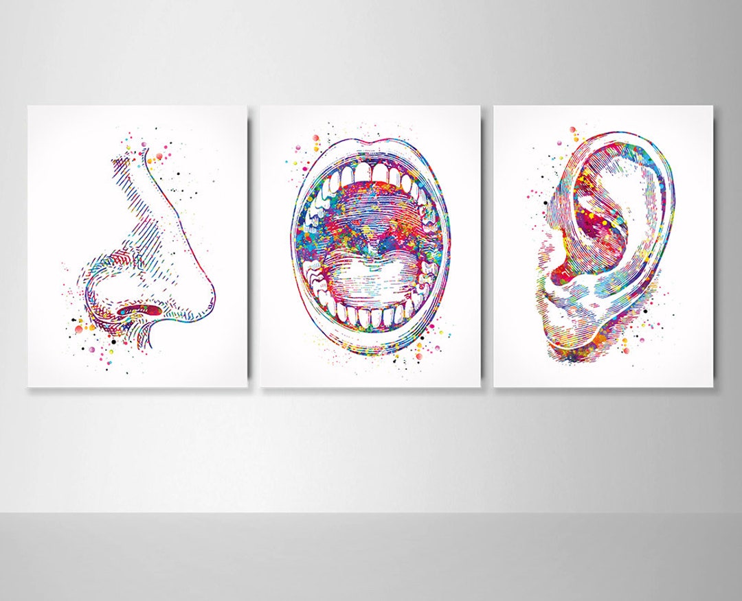 ENT Doctor Ear Nose Throat Watercolor Print Student Graduation Doctor ...