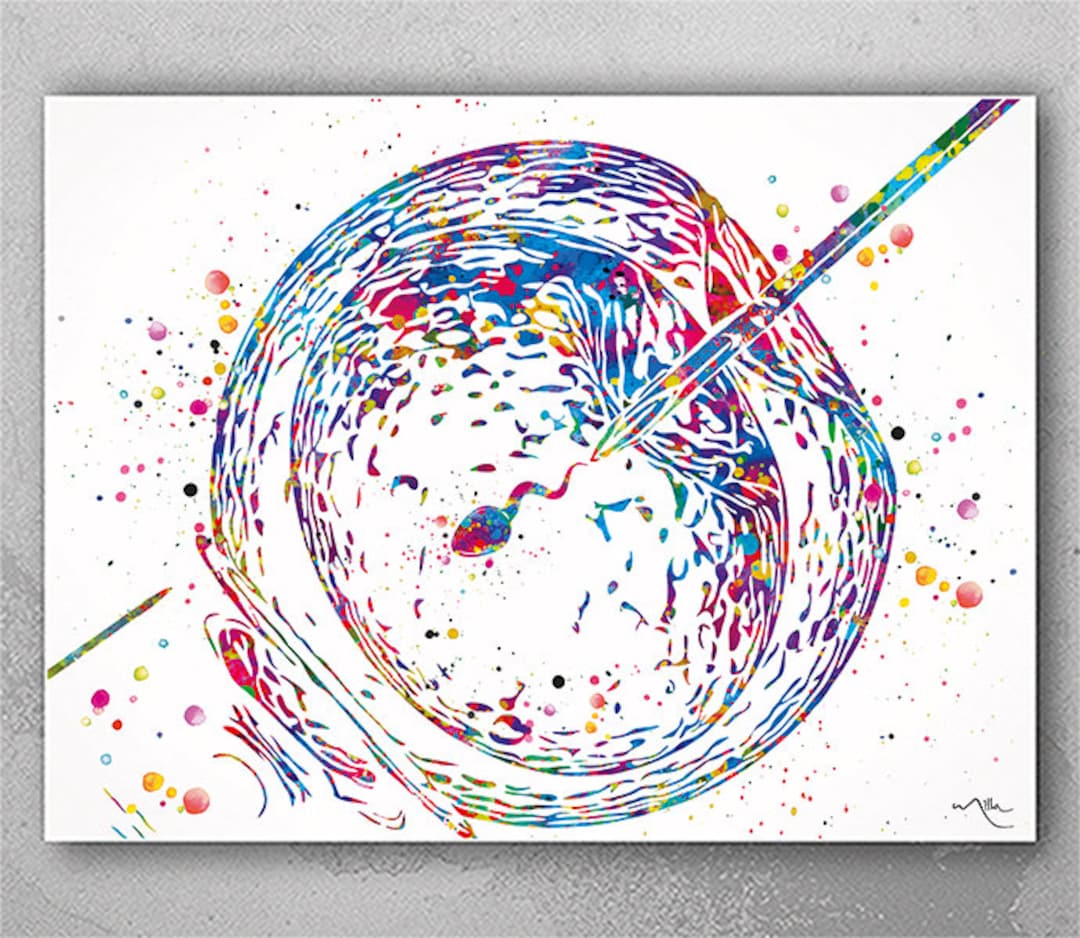 IVF Art Watercolor Print Embryonic Art Gynecology Medical Art in Vitro ...