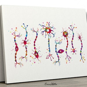 Neuron Types Art Watercolor Print Science Poster Neurology Medical Art ...