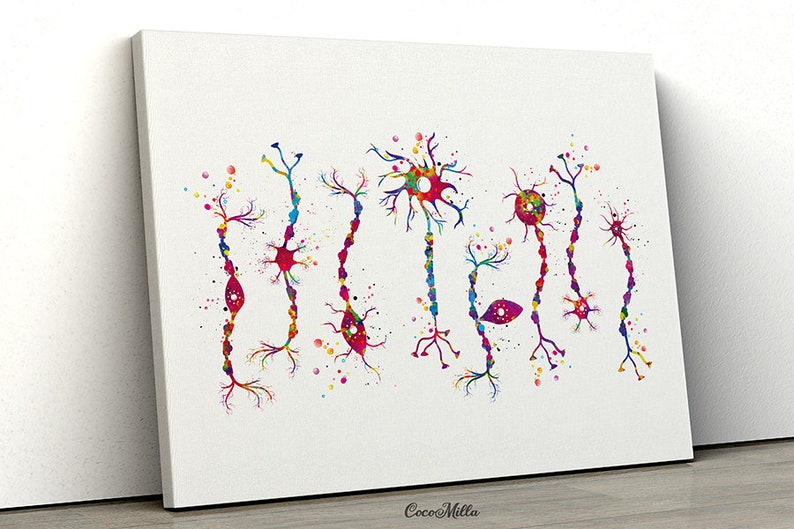 Neuron Types Art Watercolor Print Science Poster Neurology - Etsy