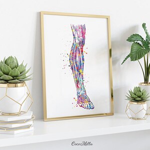 Leg Anatomy Watercolor Print Orthopedic Knee Ankle and Foot Leg Muscles ...