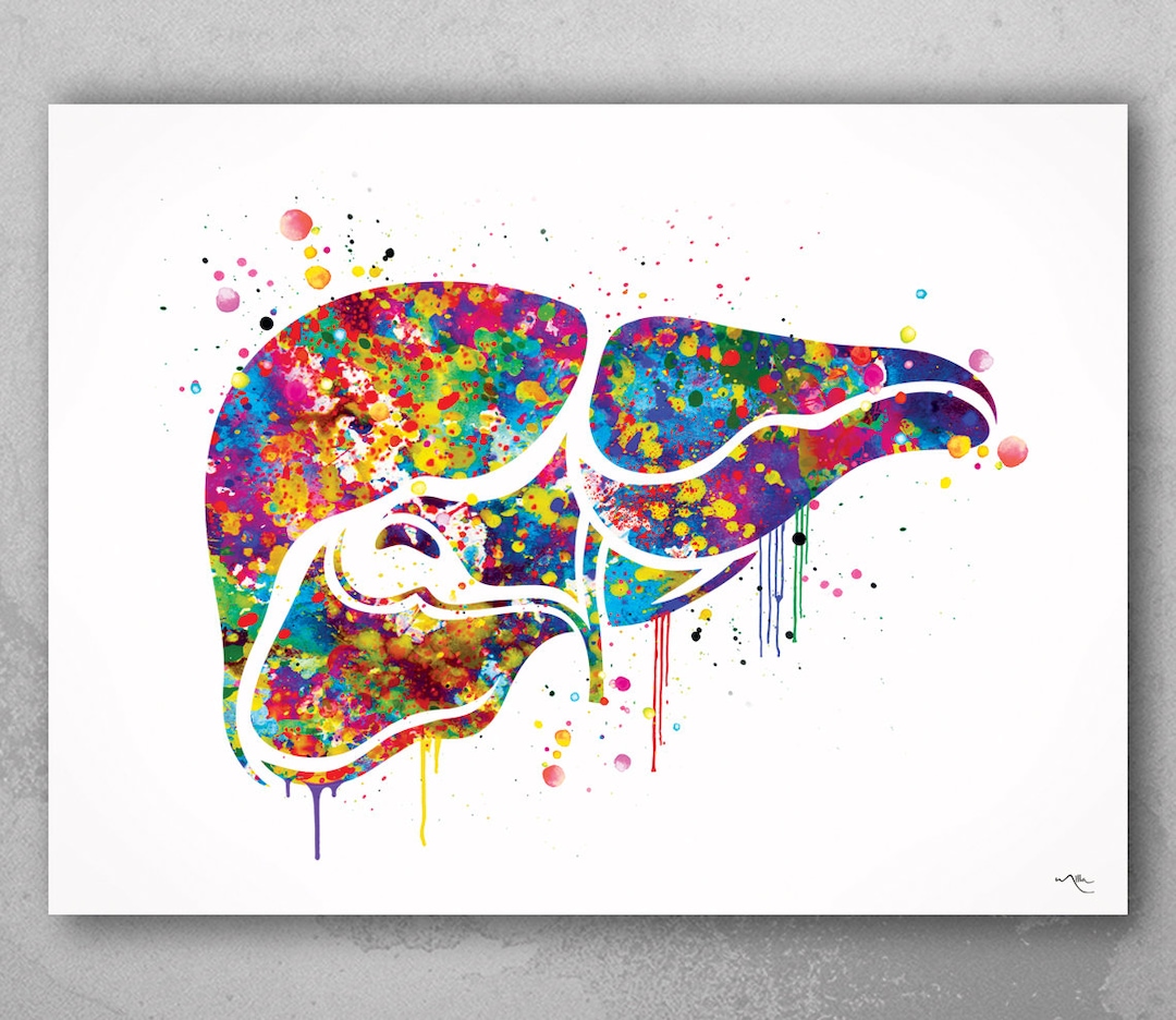 Liver Anatomy Watercolor Print Human Organs Gastroenterology Clinic ...