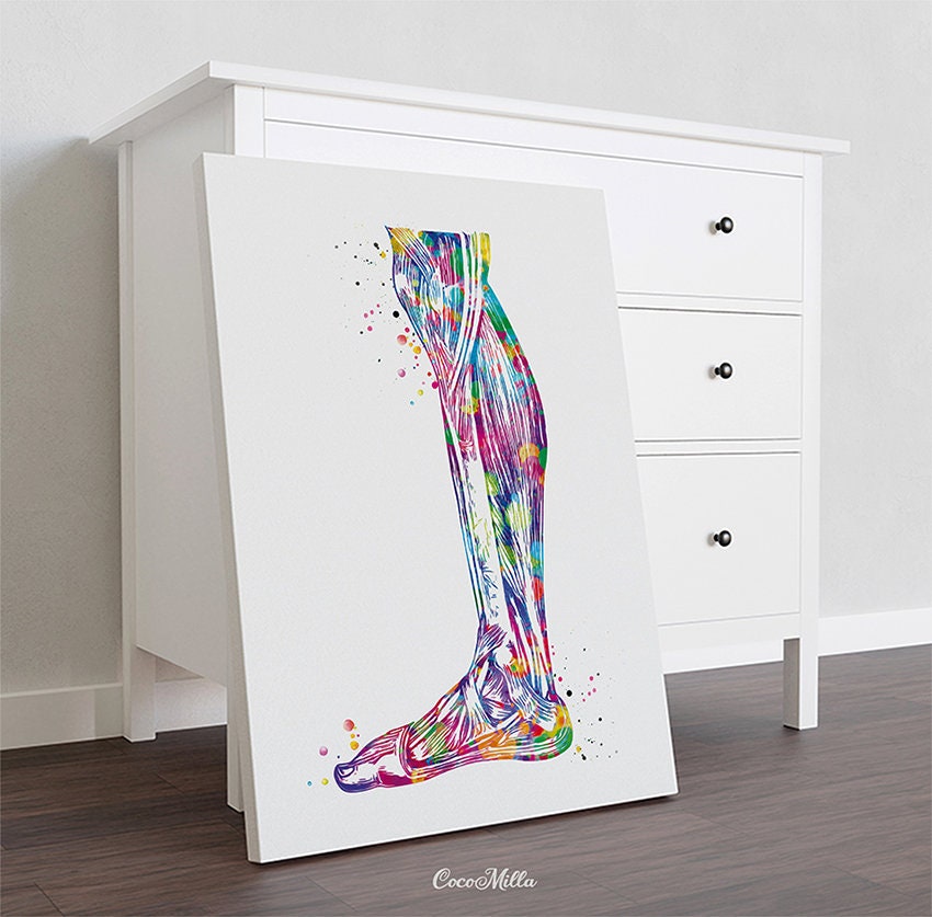 Human Leg Anatomy Watercolor Print Orthopedic Knee Ankle and - Etsy UK