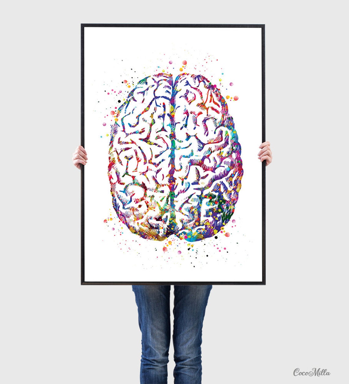 Brain Anatomy Watercolor Print Medical Art Science Art Anatomy | Etsy