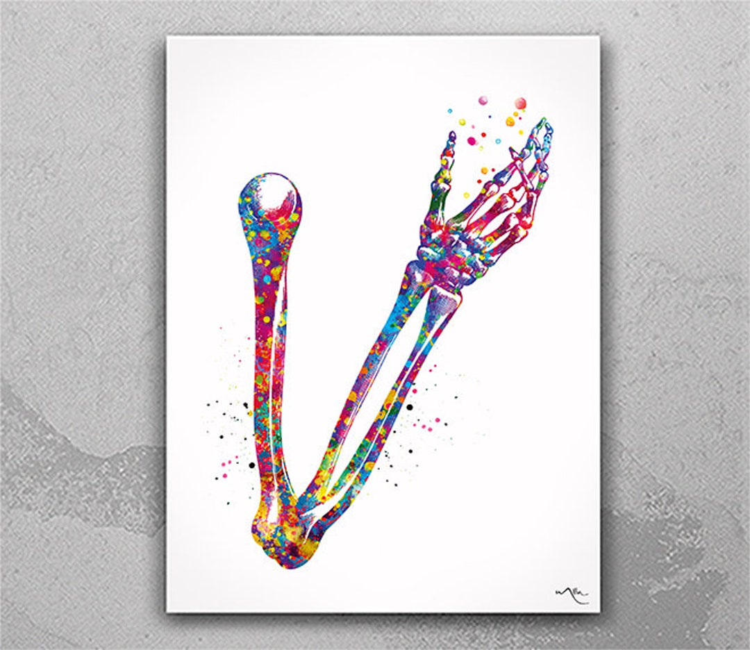 Arm Anatomy Skeletal System Watercolor Print Arm Bone Human Body ...