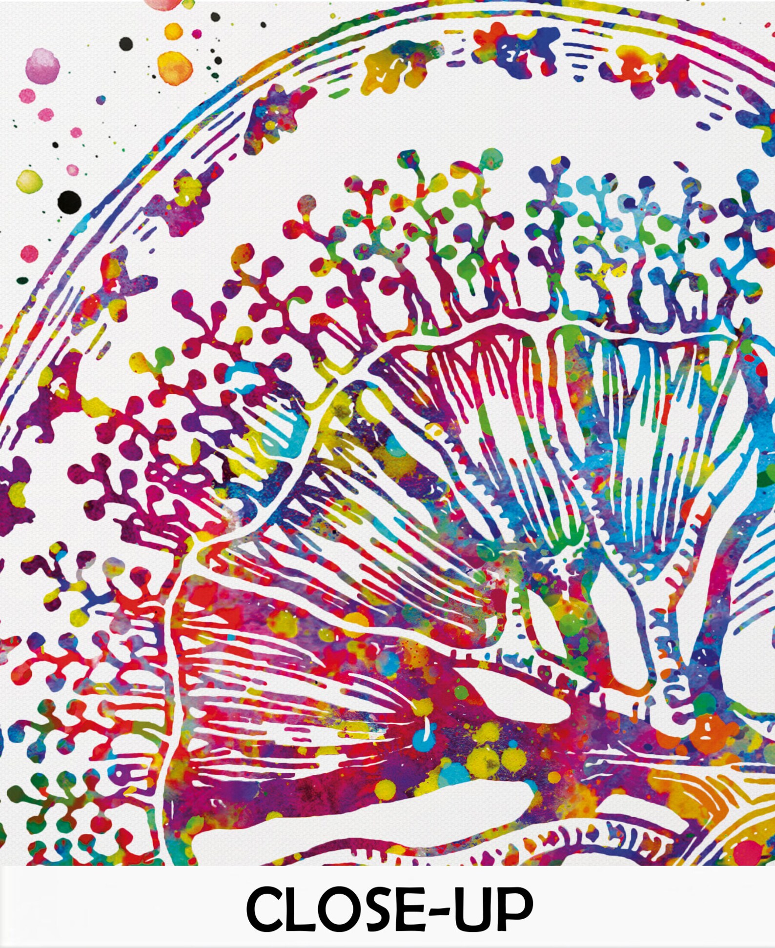 Urology Art Watercolor Print Set of 3 Office Clinic Urinary - Etsy