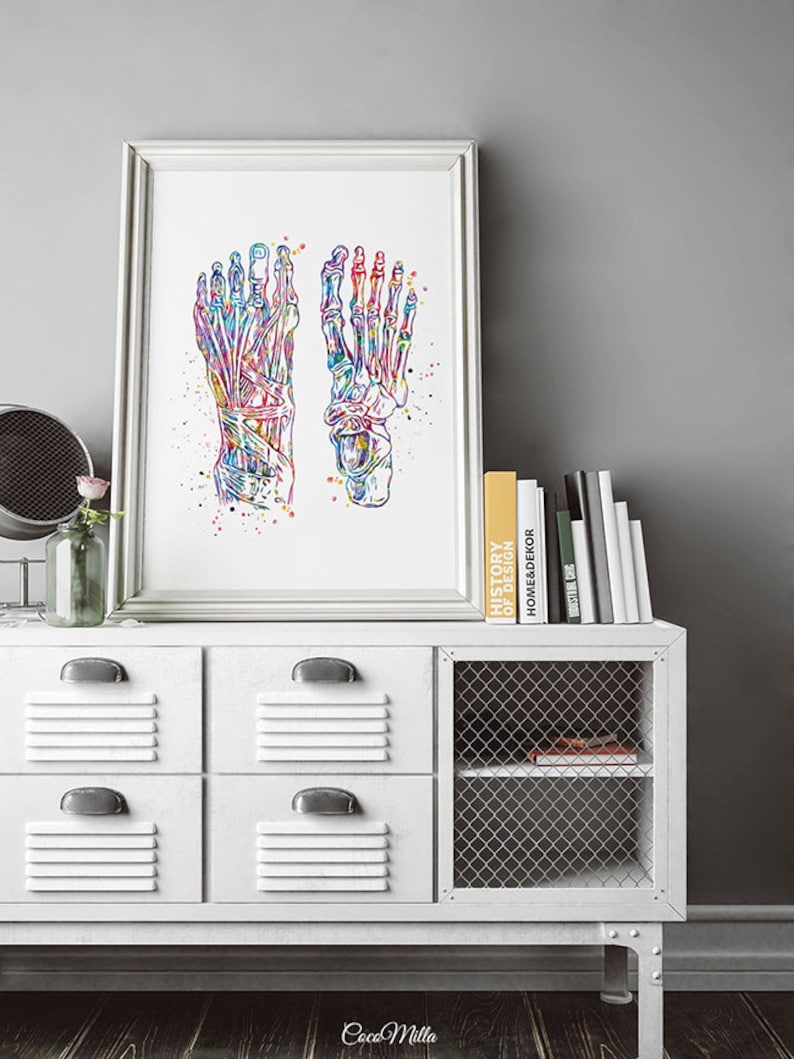 Foot Anatomy Watercolor Print Skeletal Feet Muscles Medical - Etsy