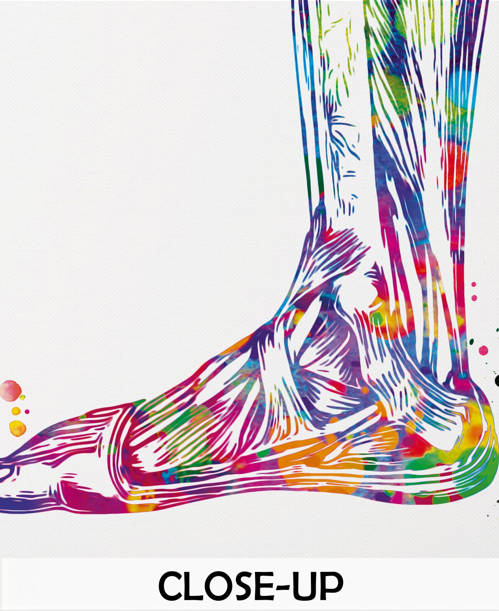 Human Leg Anatomy Watercolor Print Orthopedic Knee Ankle and - Etsy