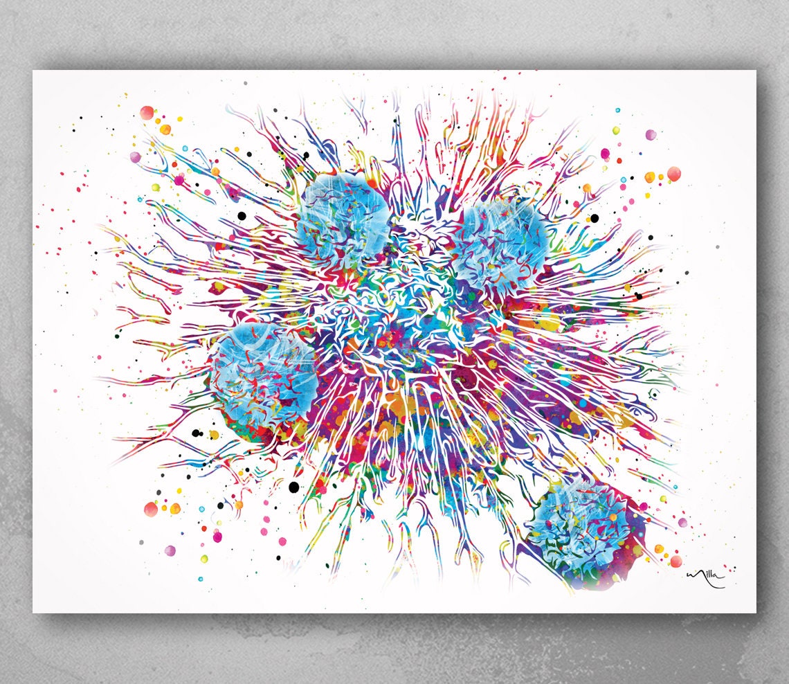 T-cells Watercolor Print Immune Cells Medical Art Science | Etsy