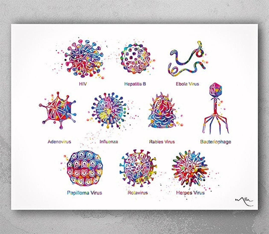 Viruses Watercolor Print | Microbiology, Bioscience Wall Art - Etsy