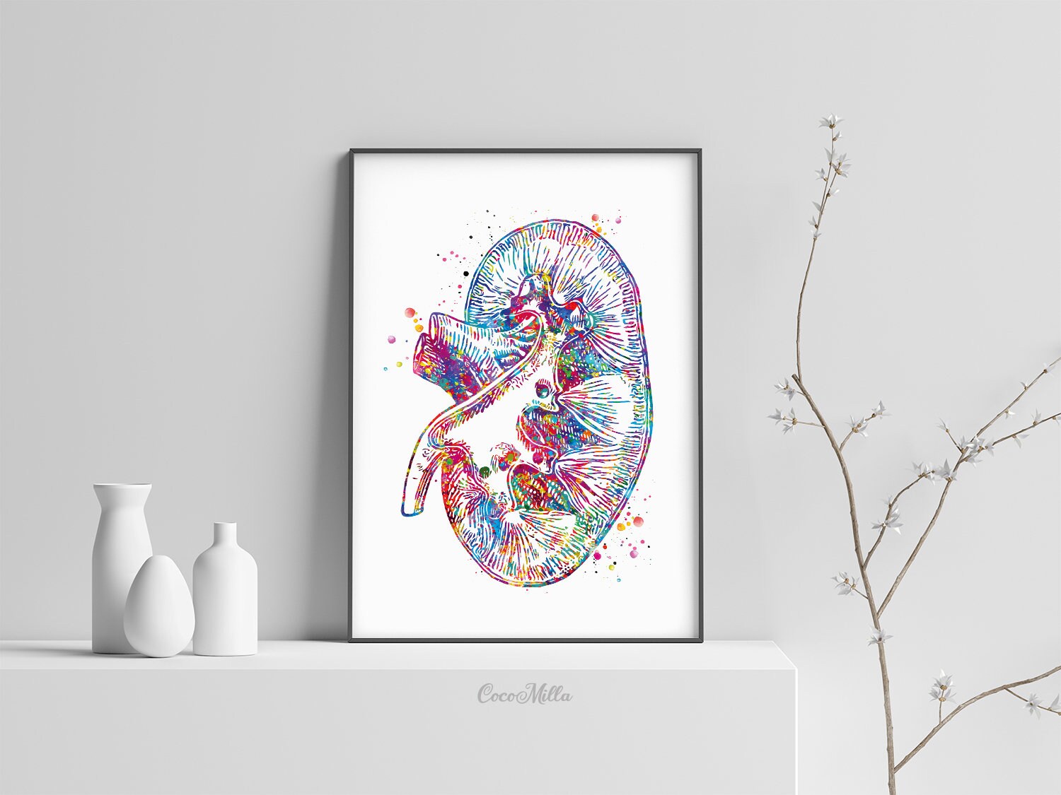 Kidney Art Watercolor Print Clinic Wall Art Urology Nephrology | Etsy