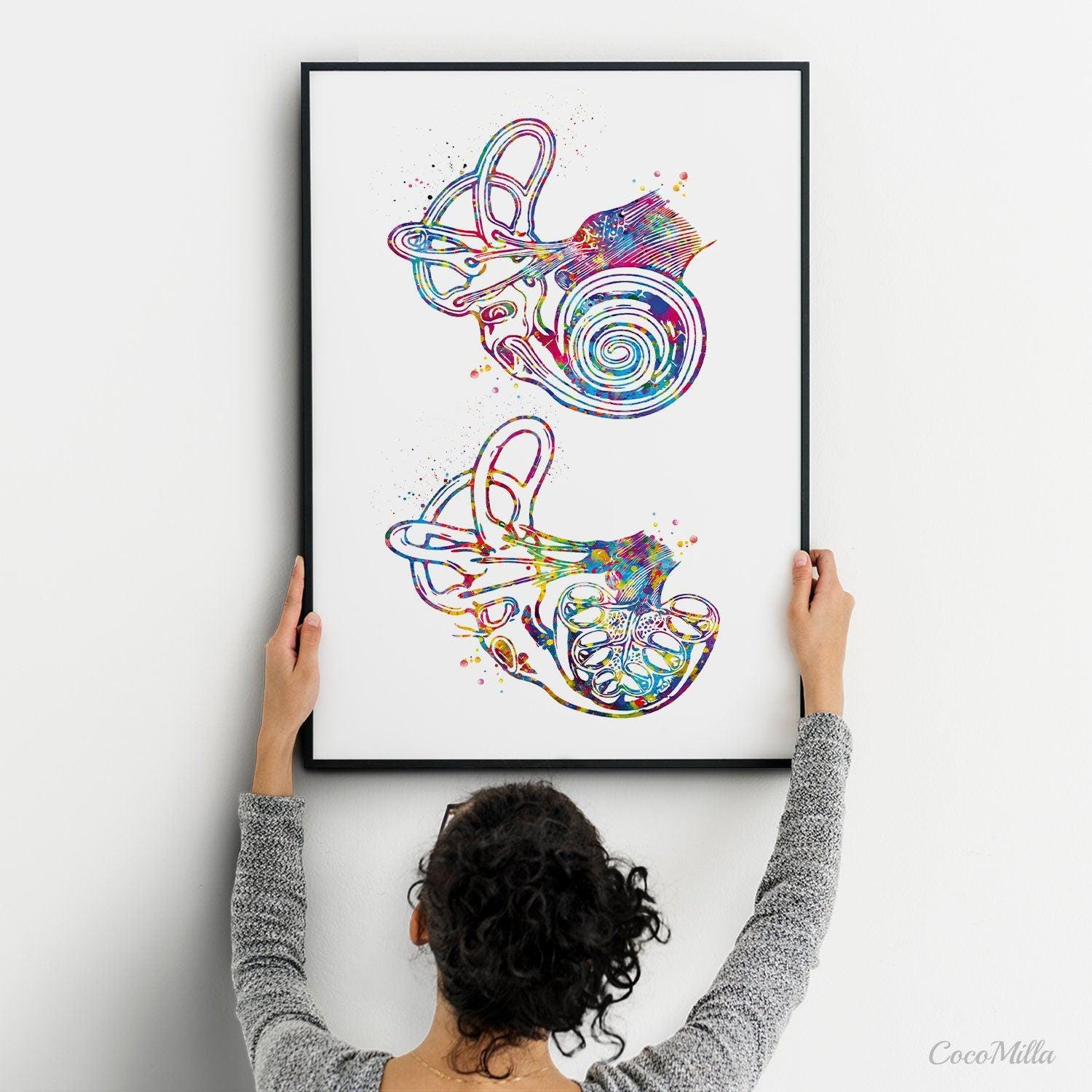 Inner Ear Anatomy Watercolor Print, Audiology Clinic Decor-1085 - Etsy