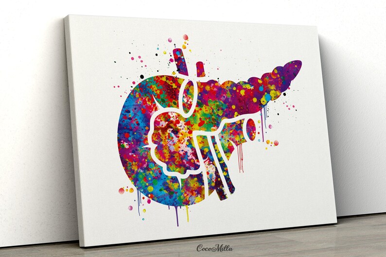 Pancreas Watercolor Art Print, Medical Anatomy Decor-719 - Etsy