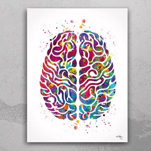 Atlas of the Brain Watercolor Print Set Human Brain Anatomy Medical Art ...