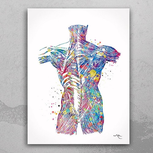 Human Leg Muscles Watercolor Print Leg Anatomy Orthopedic Leg | Etsy