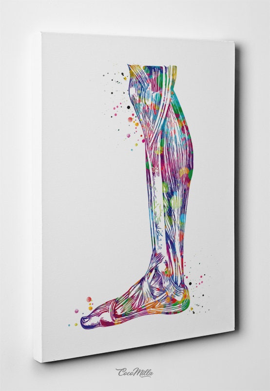 Human Leg Anatomy Watercolor Print Orthopedic Knee Ankle and | Etsy