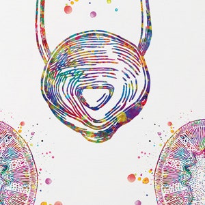 Urinary Tract Watercolor Print Medical Art Print Medical Bladder ...