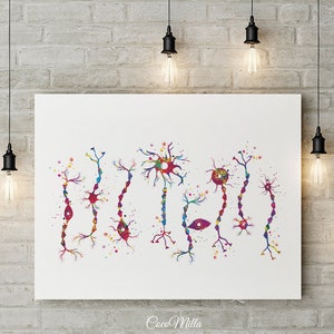 Neuron Types Art Watercolor Print Science Poster Neurology | Etsy