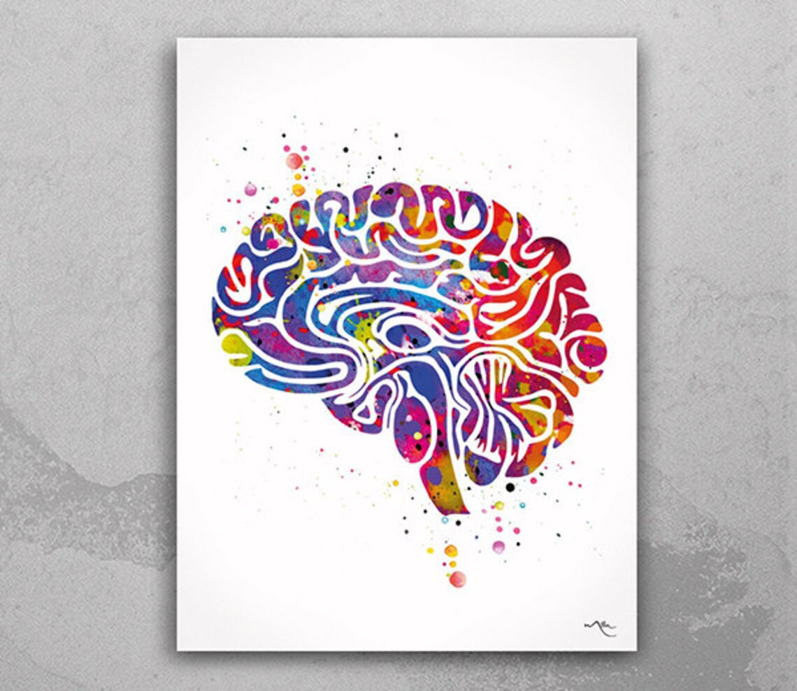 Atlas of the Brain Watercolor Print Set Human Brain Anatomy - Etsy